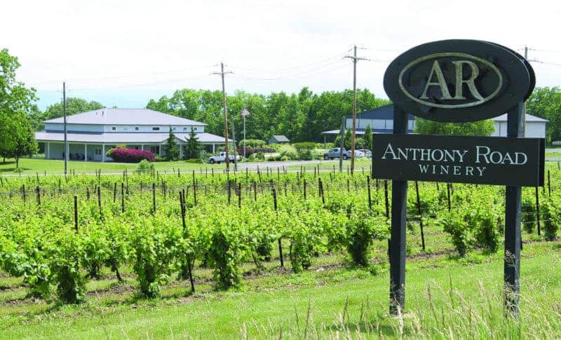 Anthony Road Winery • Wine Tastings, Tours, Events & Hours • Winetraveler