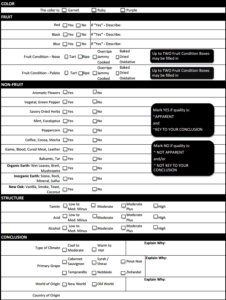 How To Taste Wine Properly: Step-By-Step Wine Tasting Guide