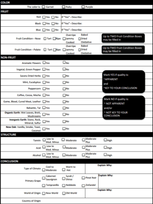How To Taste Wine Properly: Step-By-Step Wine Tasting Guide