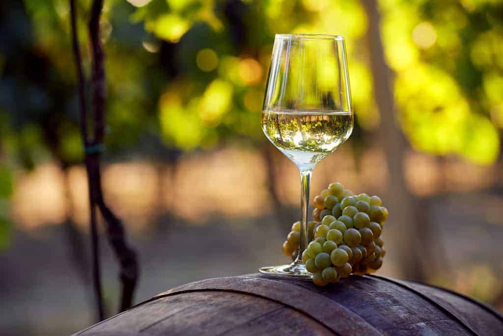 Chardonnay Taste Pairings And Wine Recommendations