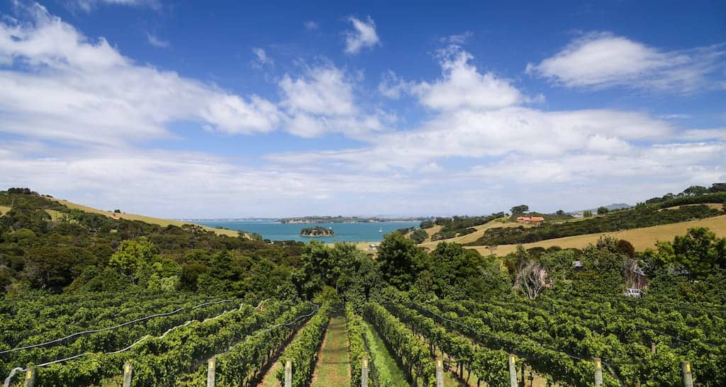 Cable Bay Vineyards • Wine Tastings, Tours, Events & Hours • Winetraveler