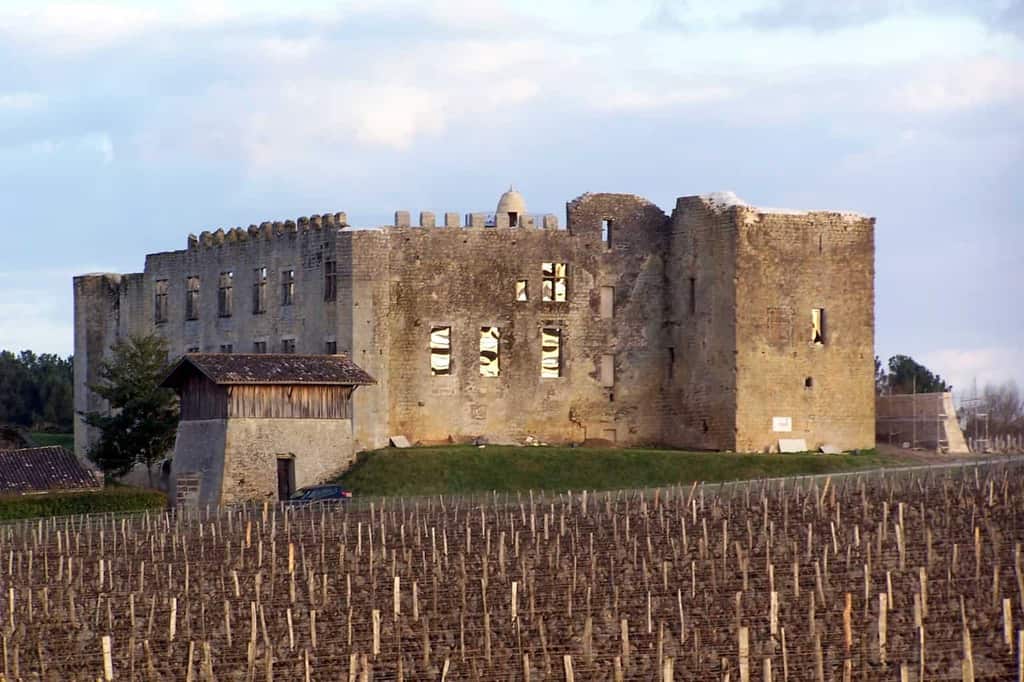 Chateau de Fargues • Wine Tours, Tastings, Reviews & Events