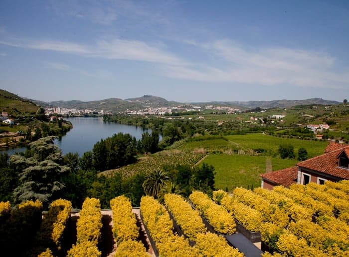 Quinta da Pacheca • Wine Tastings, Tours, Reviews & Events • Winetraveler