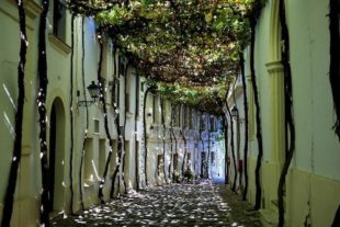 Sherry Wine Guide: Everything You Need to Know