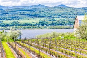 Québec Wine Country: Where To Eat, Drink & Stay • Winetraveler