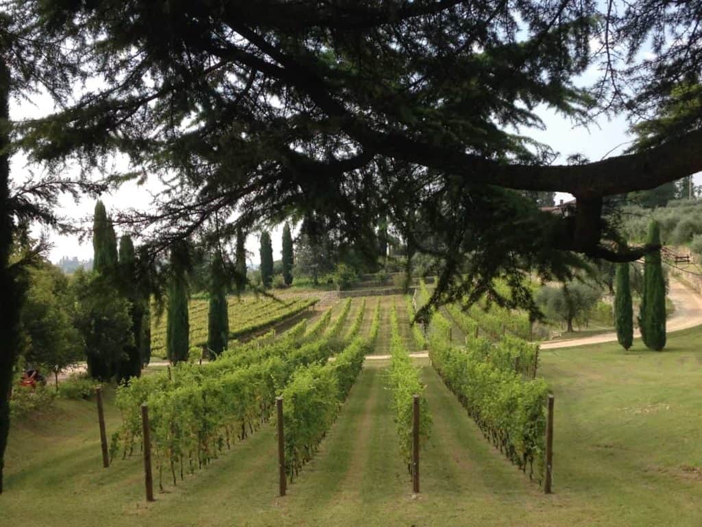 Tenuta Ugolini • Wine Tastings, Tours, Reviews & Events • Winetraveler