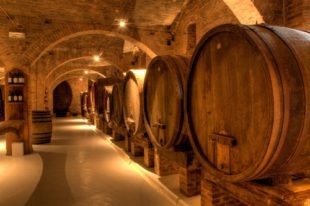 Wine Tour Like A Pro: Insider Tips • Winetraveler
