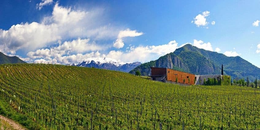 Barone Pizzini • Wine Tastings, Tours, Reviews & Events • Winetraveler
