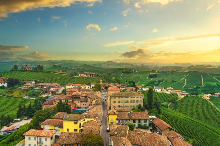 Barbera: Grape Variety Characteristics, Taste Profile & Food Pairings