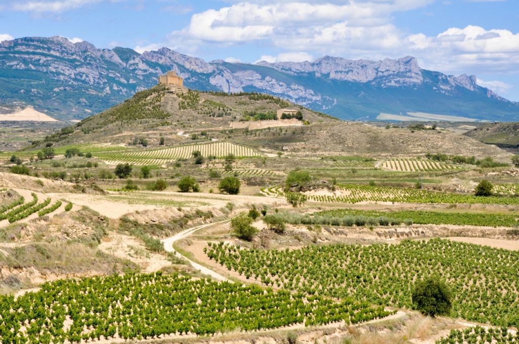 25 Best Rioja Wineries You Can't Miss in 2025