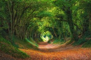 15 Best Places To Visit in the UK for Scenery in 2024