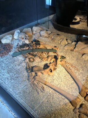 15 Best Things to Do in Hallstatt Austria During 2024