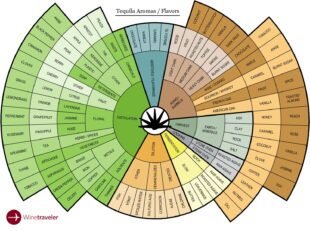 What is Tequila? The Ultimate Tequila for Beginners Guide