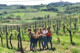 15 Best Tuscany Wine Tours & Wine Tastings for 2024