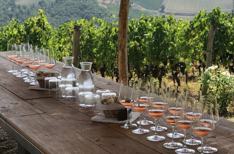 Best Florence Wine Tours, Wine Tastings & Day Trips 2024