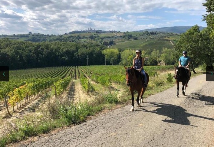 Best Florence Wine Tours, Wine Tastings & Day Trips 2026