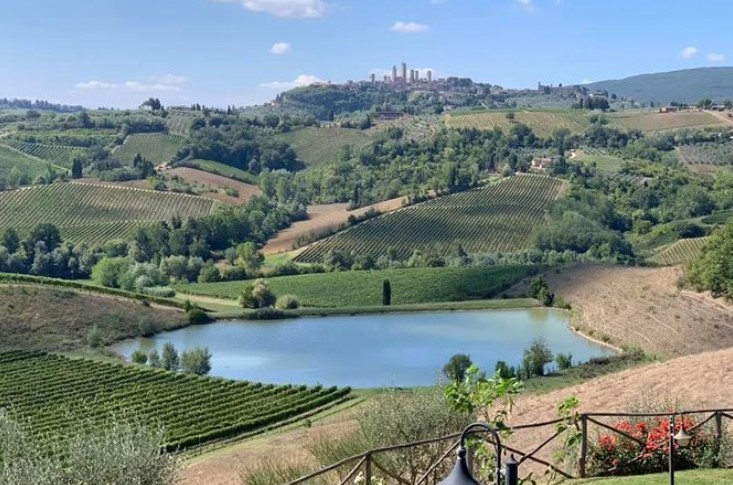 Best Florence Wine Tours, Wine Tastings & Day Trips 2025