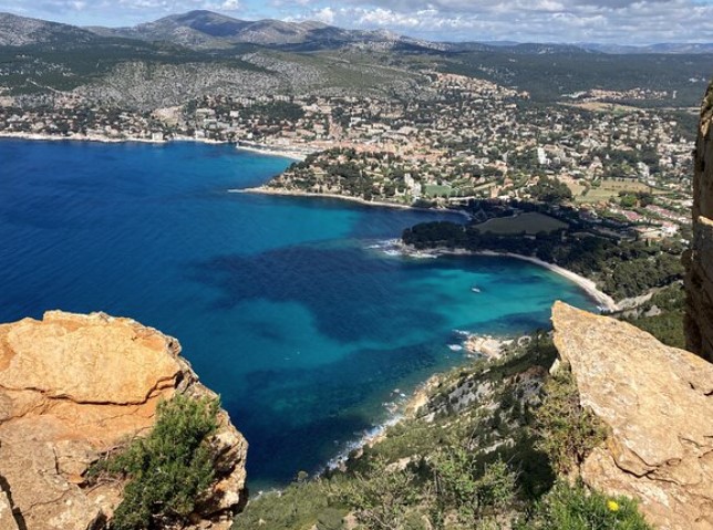 Best Bandol Wine Tastings, Tours & Wineries for 2025