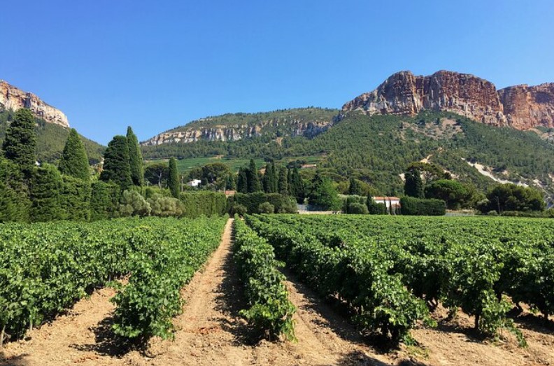 15 Best Provence Wine Tours & Wine Tastings for 2023