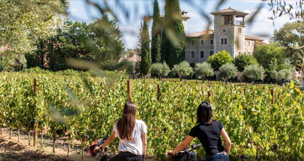 15 Best Provence Wine Tours & Wine Tastings for 2026