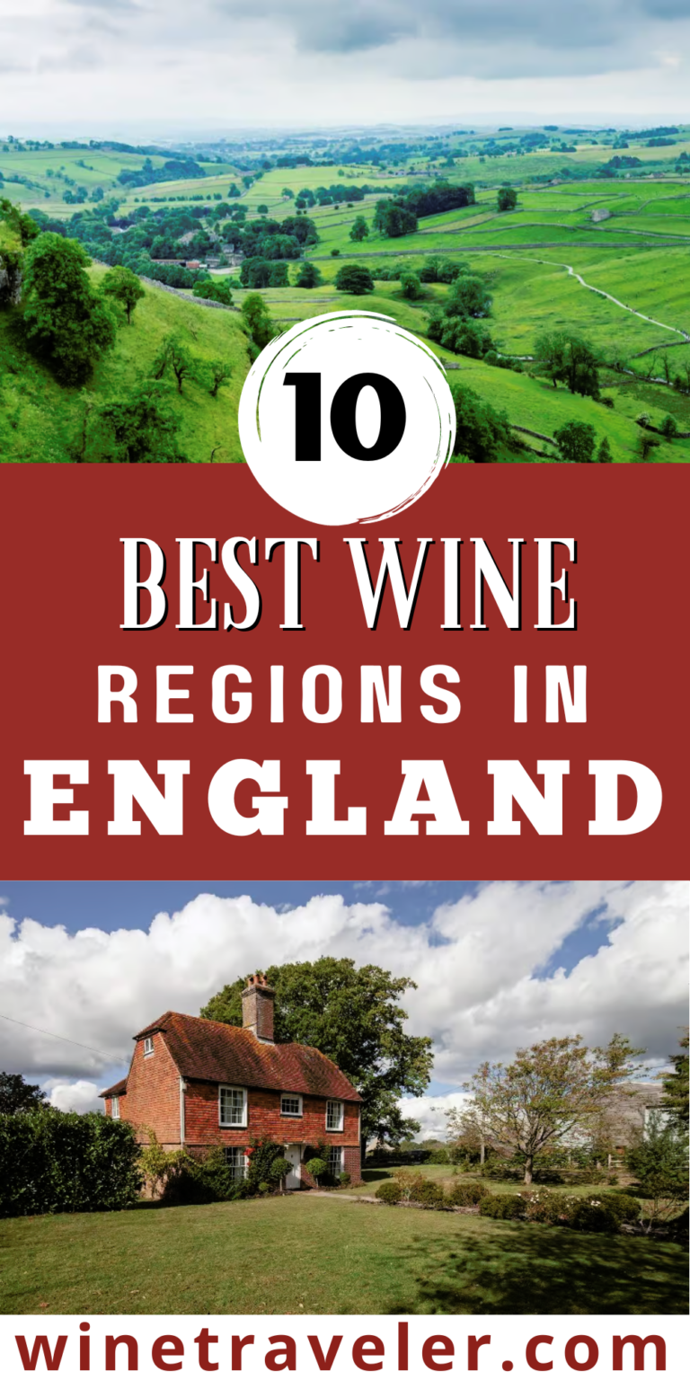 10 Best Wine Regions in England: 2024 Travel Guide