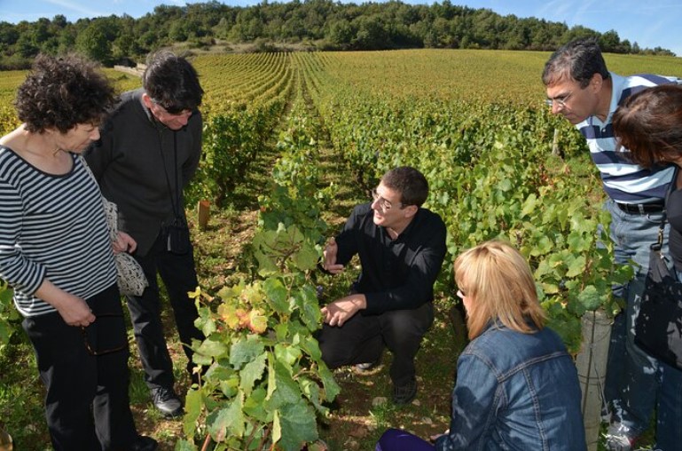 10 Best Burgundy Wine Tours & Tastings to Book in 2024