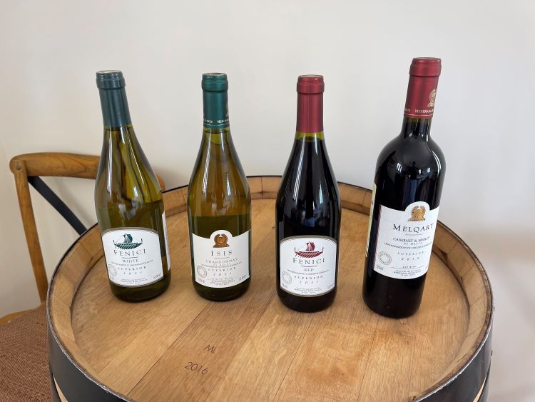 5 Best Malta Wineries to Visit for Wine Tasting in 2026