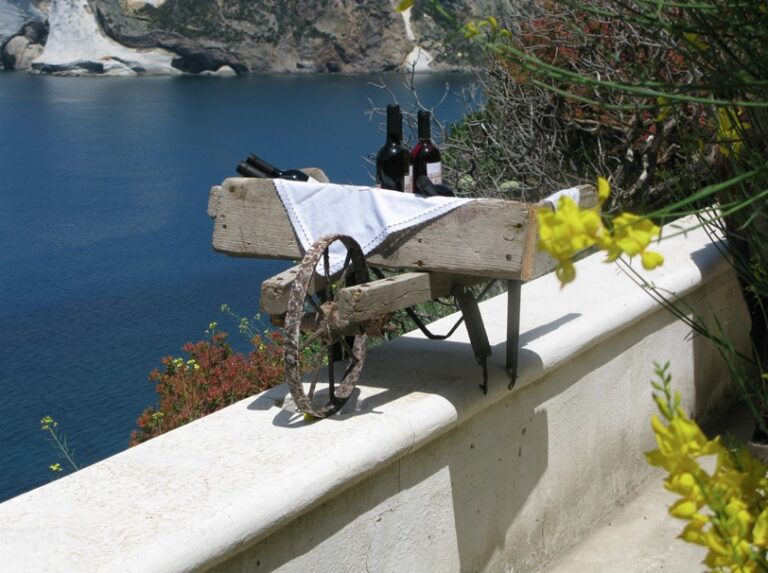 16 Best Wineries to Visit Near Rome in 2025 - Winetraveler