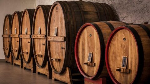 16 Best Wineries to Visit Near Rome in 2025 - Winetraveler