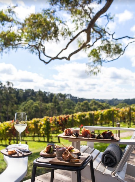Best Mornington Peninsula Wineries & Wine Tours 2024