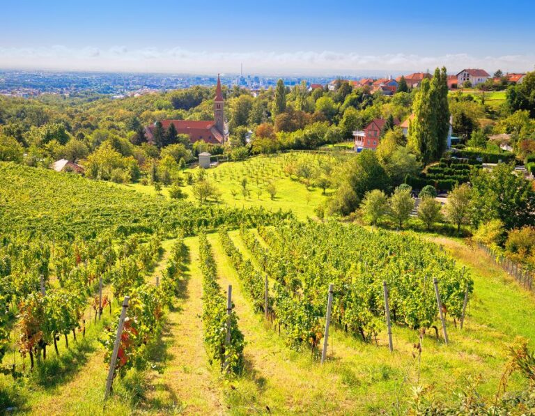 5 Exciting Ways to Go Wine Tasting in Croatia - Winetraveler