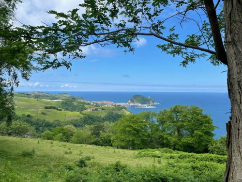 Experience Basque Country: Wine Tours & Tastings You Can't Miss