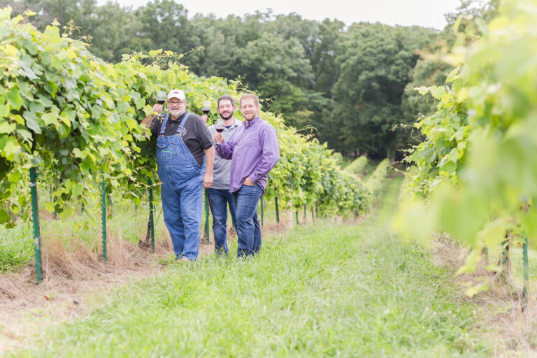 Best Missouri Wineries & Vineyards to Visit in 2025