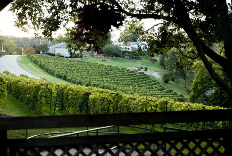 Best Missouri Wineries & Vineyards to Visit in 2025