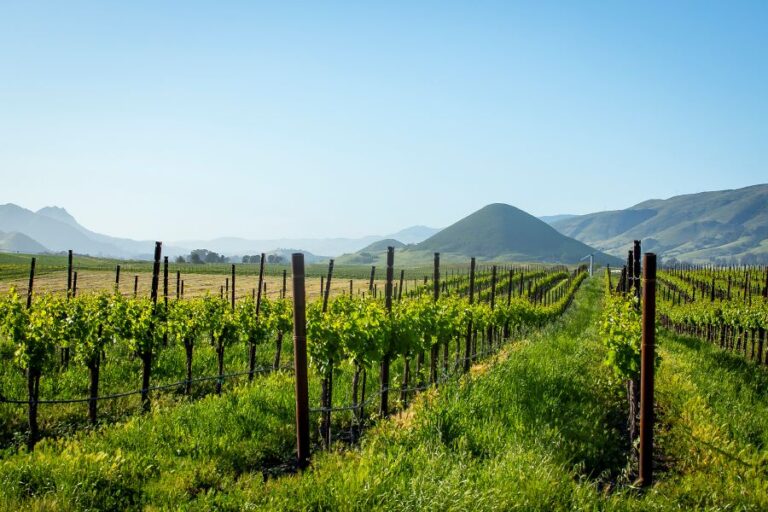 How to Go Wine Tasting in Edna Valley & San Luis Obispo
