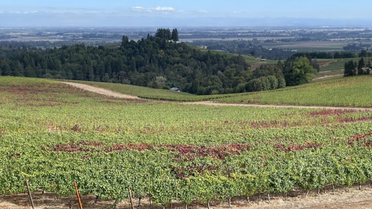 The Grange Dundee Hills: Luxury Meets Wine in Willamette Valley